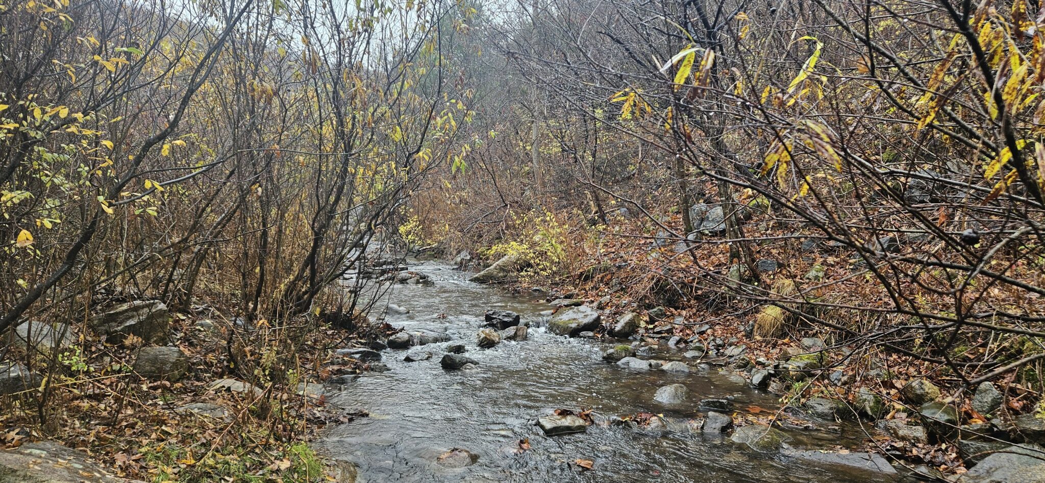 Hiking the Unknown Sparta Glen Park - Explore North Jersey